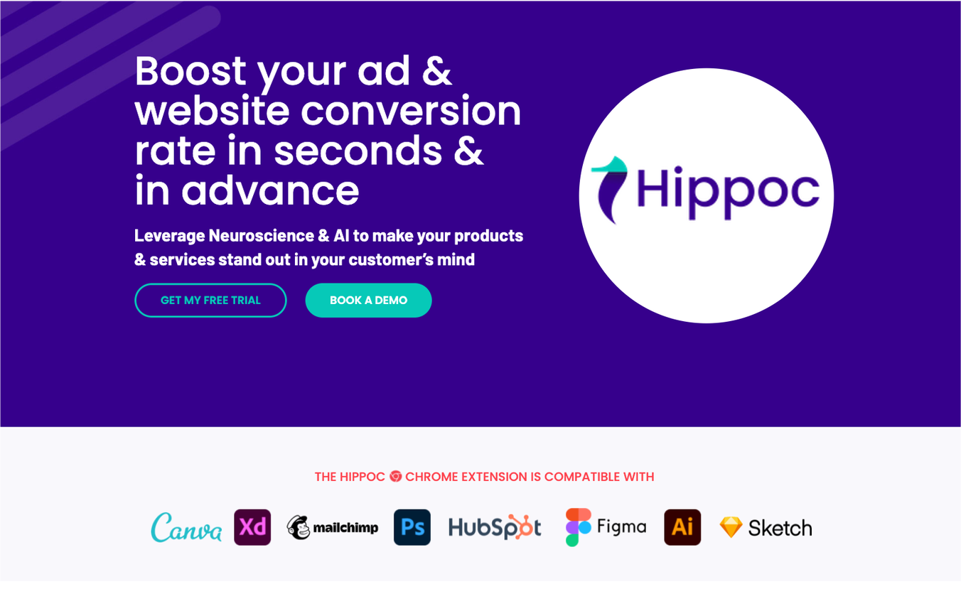 Hippoc Neuro-AI Analytics | AppSumo