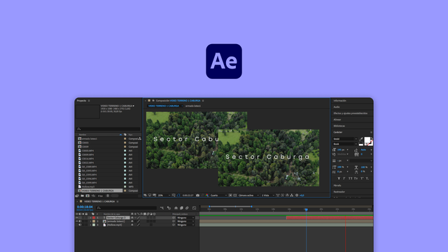 Adobe After Effects - Create effects & animations | AppSumo