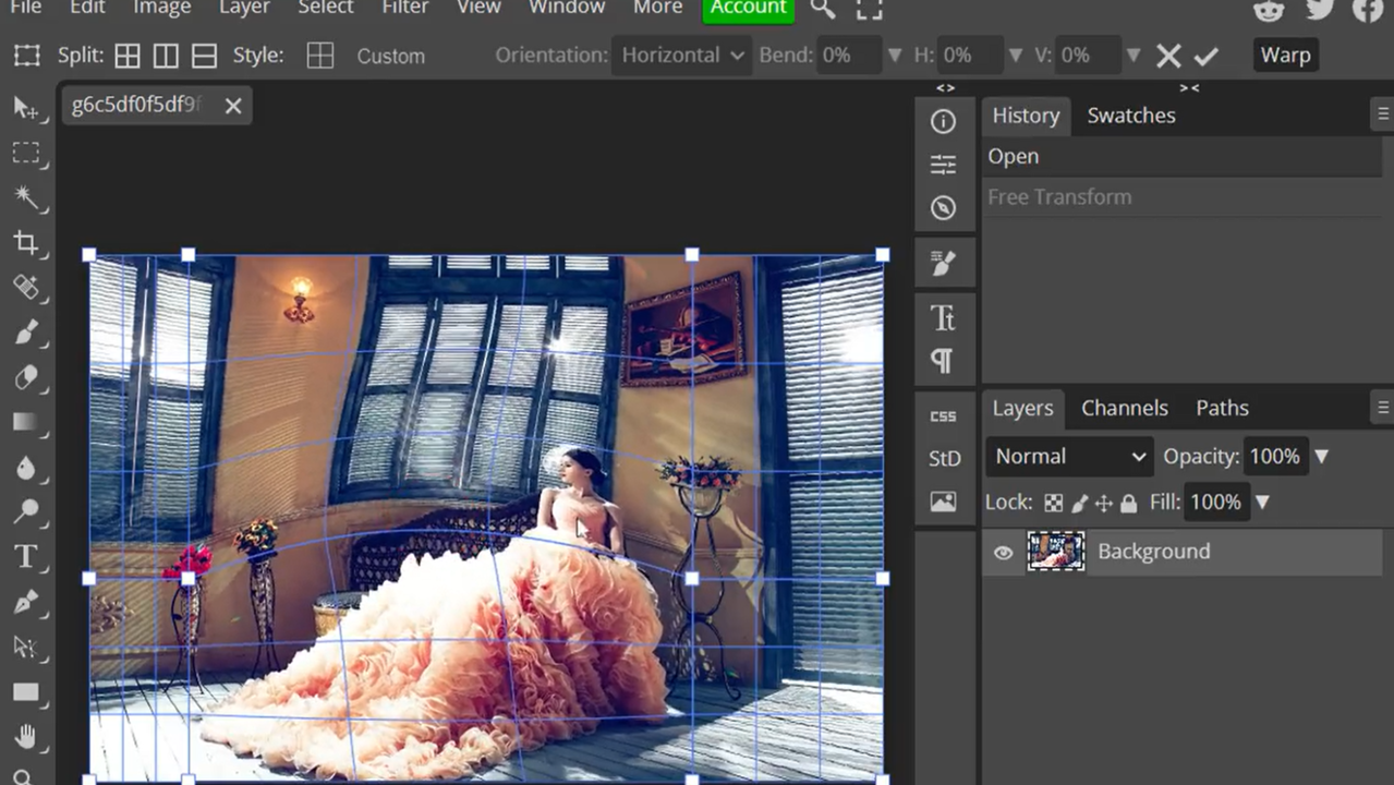 Photopea - Edit photos for free | AppSumo