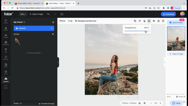 Fotor - Edit your photos easily | AppSumo