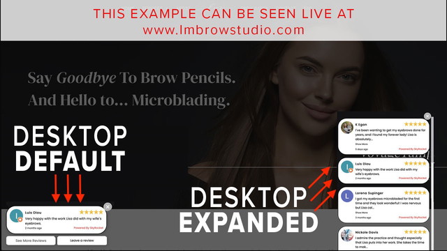 SkyRocket Reviews Website Widget | AppSumo