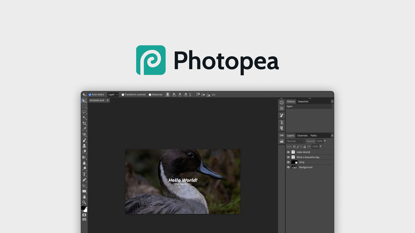 Photopea - Edit photos for free | AppSumo
