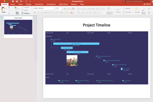 Preceden - Create timelines or roadmaps in minutes | AppSumo
