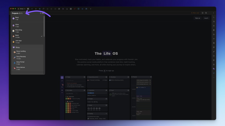 Sizzy - Web browsing built for web developers | AppSumo