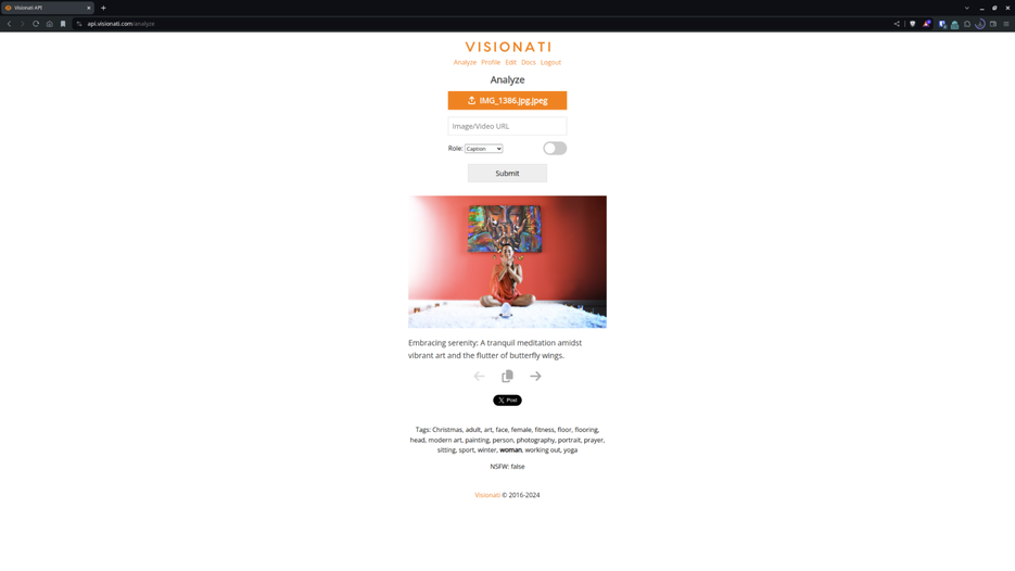 Visionati - Analyze and caption images with AI | AppSumo