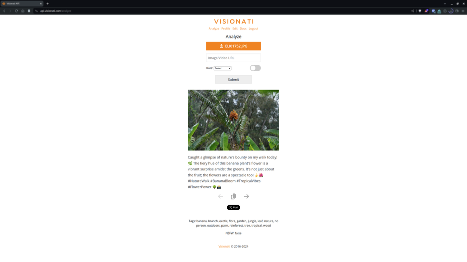 Visionati - Analyze and caption images with AI | AppSumo